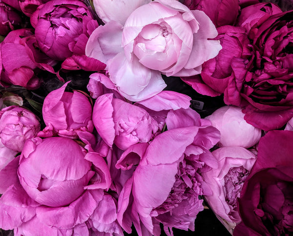 Spring & Summer Florals – Lebermuth