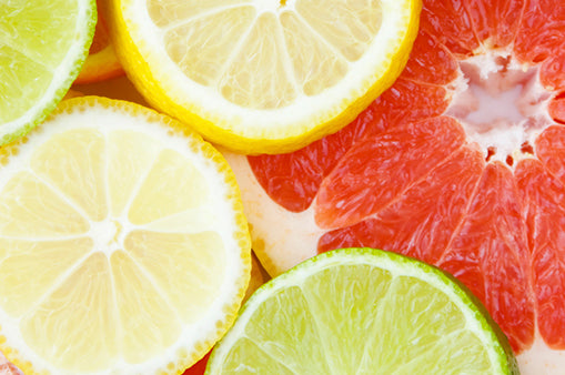 FRUIT SLICES + – Lebermuth