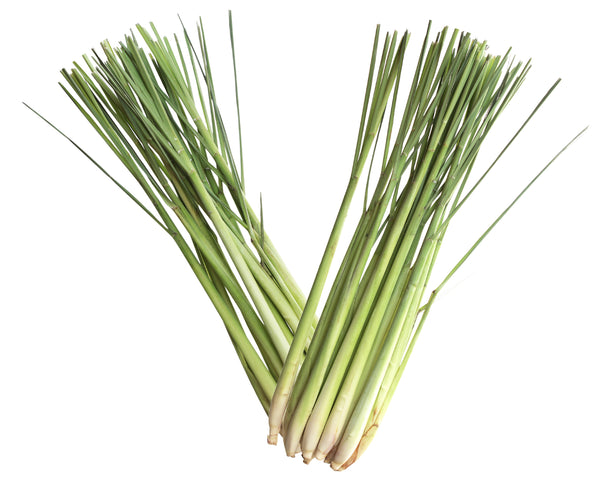 LEMONGRASS ORGANIC OIL – Lebermuth