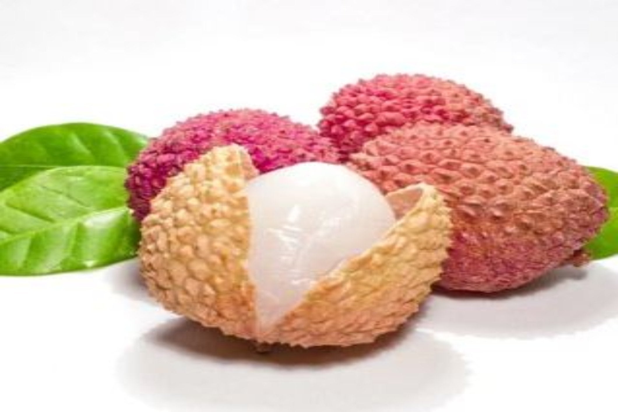 LYCHEE & SUGARED MANGO – Lebermuth